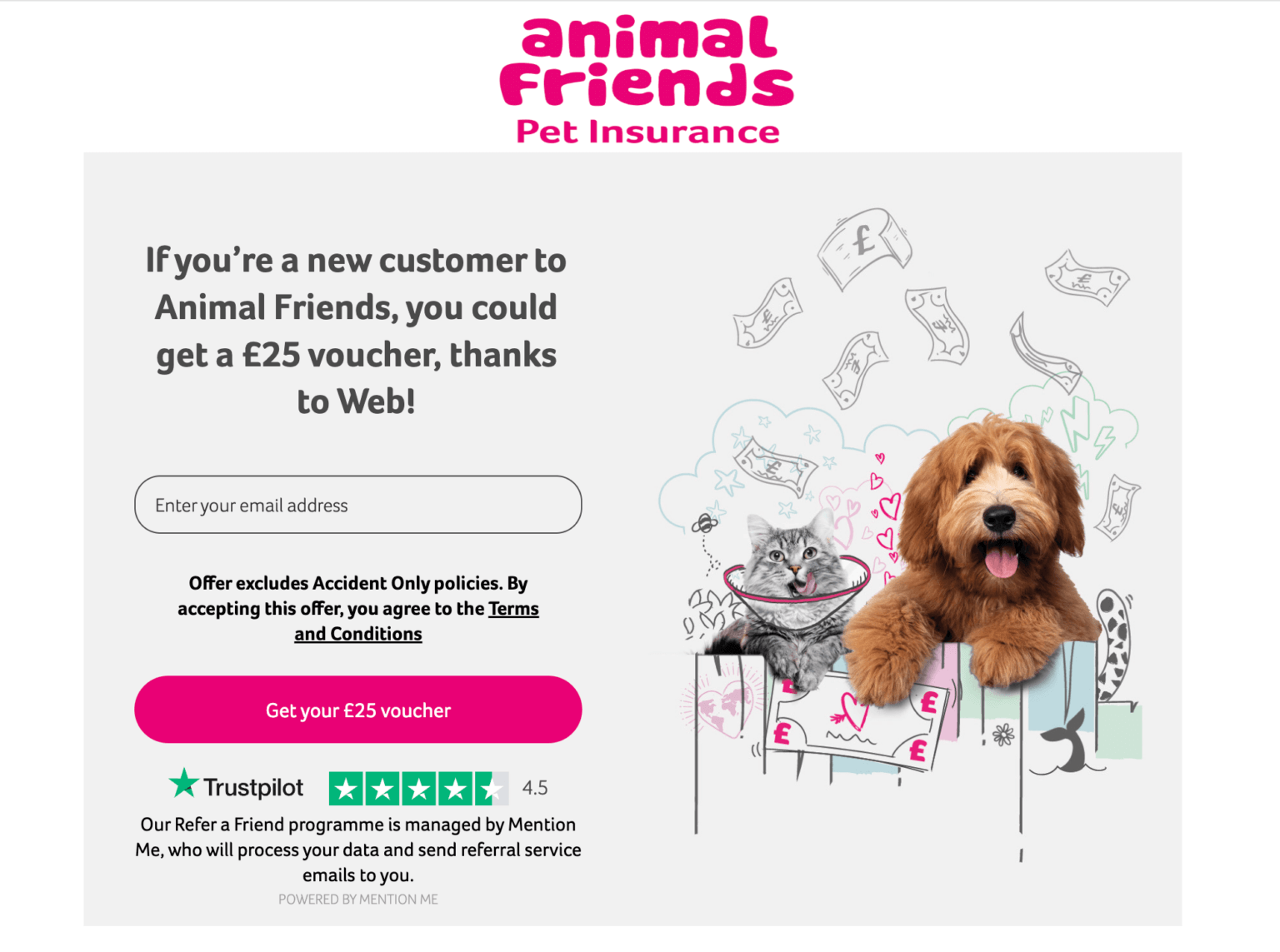 Animal Friends Pet Insurance discount code for £25 gift card - 2025